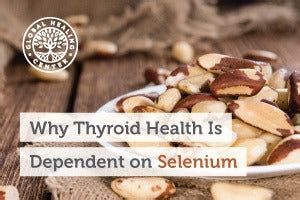 Why Thyroid Health Is Completely Dependent On Selenium