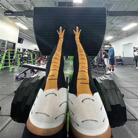 Calcetines Hasta La Rodilla Piernas De Pollo Altos Elefante Blanco