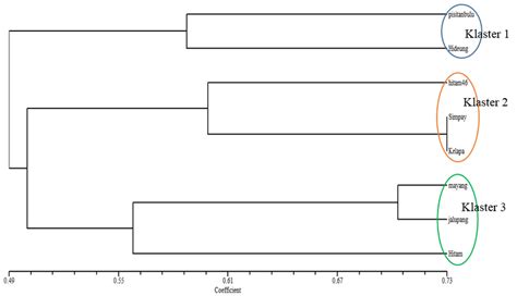 Dendrogram Based On All Qualitative Characters Download Scientific Diagram