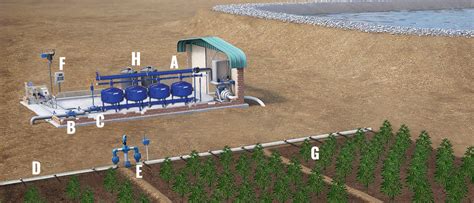 Improve Hemp And Cbd Quality With Drip Irrigation Southern Irrigation