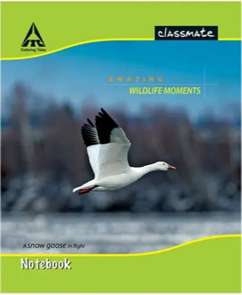 Classmate A4 Size Notebook At ₹ 60piece Rajajinagar Bengaluru Id