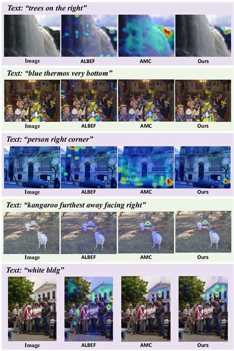 Improved Visual Grounding Through Self Consistent Explanations Cvpr 2024