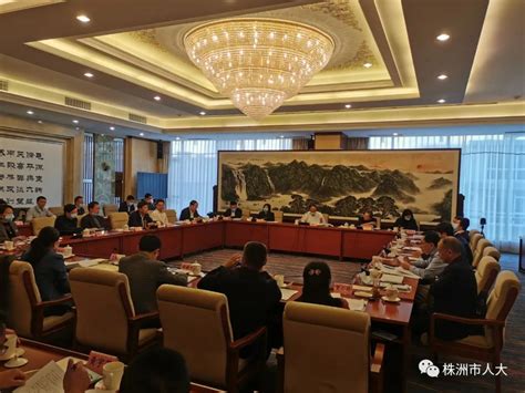 【基层人大】贺小玲参加全国人大代表选举工作调研座谈会醴陵市
