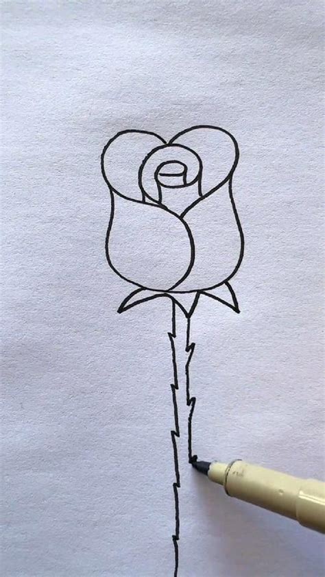 玫瑰花简笔画入门怎么画又好看（高清16张） 简笔画图片大全