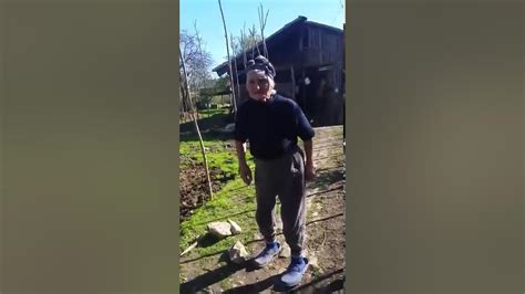 ბებოს კისტის თოფს ესვრიან Youtube