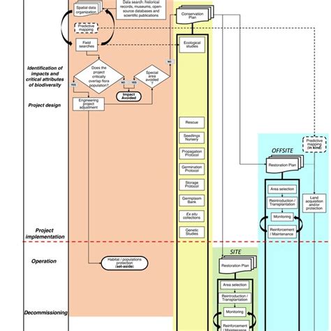 Flora Conservation Strategies Mitigation Hierarchy Framework