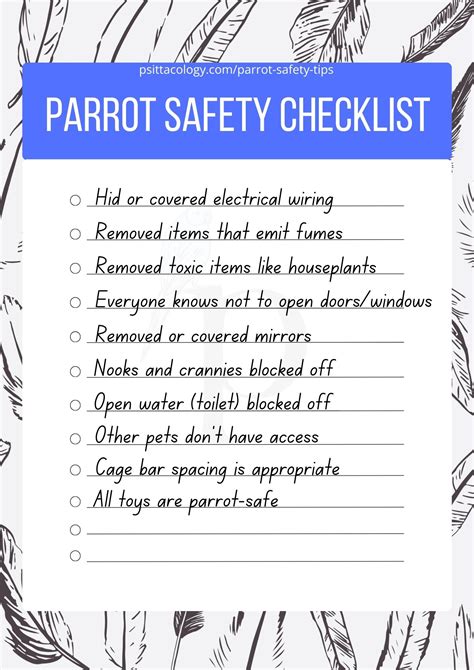 How To Parrot Proof A Space 8 Bird Safety Tips With Checklist