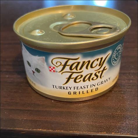 Best Cat Foods Without Carrageenan In 2026