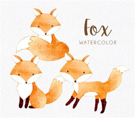 Fox Watercolor Clipart Watercolor Clipart Woodland