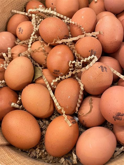 Ayfer Evkuran On Linkedin Denizbank