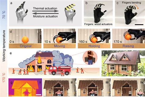 Wood‐based Robotic Hand And Its Application In Fire Rescue A Scheme Download Scientific