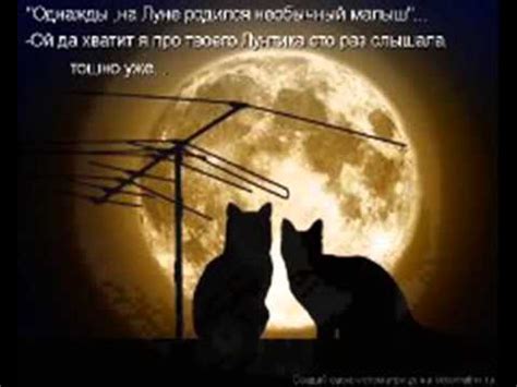 Лунный, лунный кот 1 - YouTube
