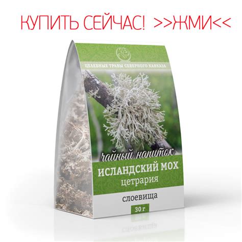Исландский мох - Рецепты, свойства