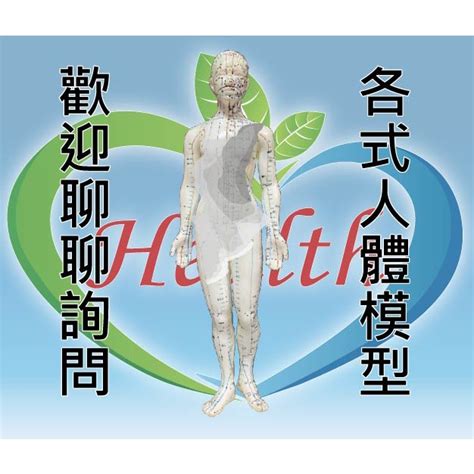各類醫療用人體模型 中醫模型 西醫模型 動物模型 教學模型 針灸穴位模型 附發票 蝦皮購物