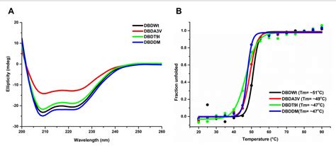 Figure 2 From Hypomorphic Mutations In Human Dna Ligase Iv Lead To