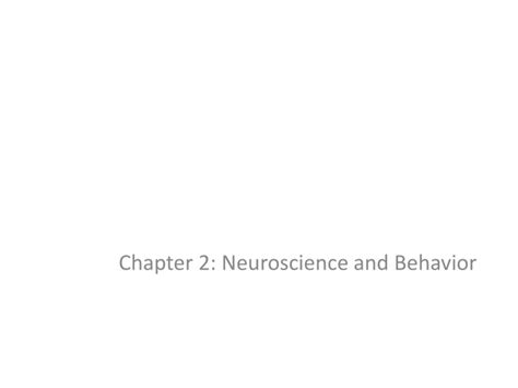 Ppt Chapter 2 Neuroscience And Behavior Powerpoint Presentation