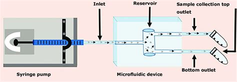 Microfluidic Device Setup For Sperm Seperation Download Scientific Diagram