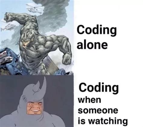 the schrödinger s developer paradox ·