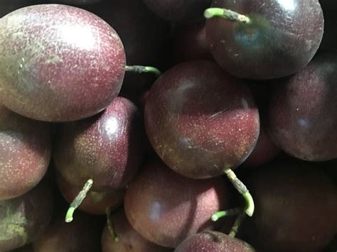 【酸酸甜甜 維根百香果 5斤裝】芬芳酸甜好滋味 來自維根媽媽的私藏果實 Owlting Market 奧丁丁市集