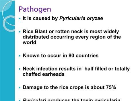 Fungal Diseases Of Ricepptx