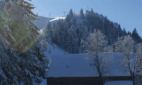 Ski Alpin Esf Les Brasses