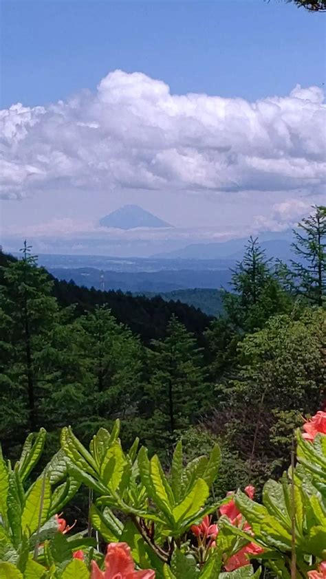 前鉢伏山・鉢伏山・横峰・高ボッチ山 ミケルソンの兄さんの鉢伏山・高ボッチ山・三峰山の活動データ Yamap ヤマップ