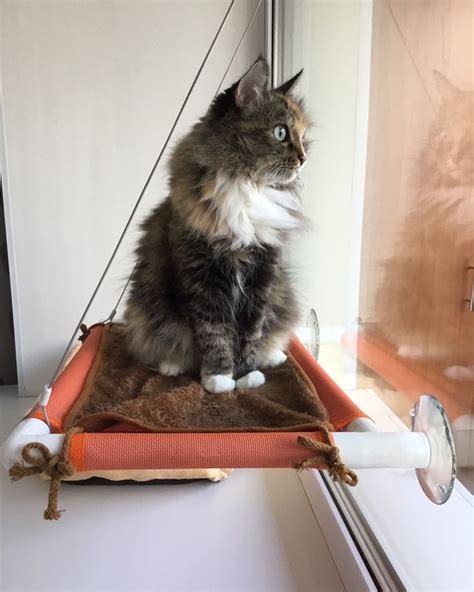 Оконный гамак для кошек GLACAT