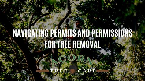 How To Remove A Tree Legally A Guide To Permits Permissions