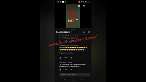 Зачем он так с Симбой Youtube