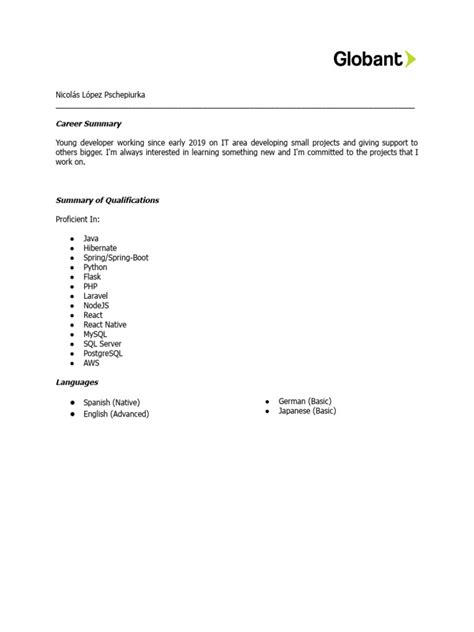 Cv Nicola S Lo Pez Pschepiurka Download Free Pdf Java Programming