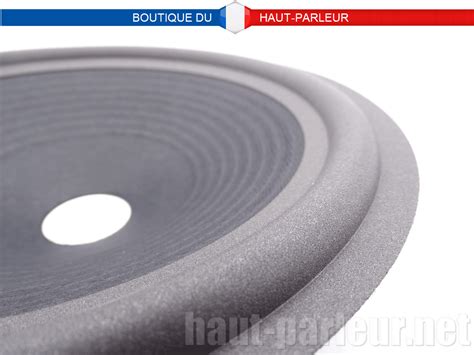 Membrane Haut Parleur Complète Cône Suspension 25cm