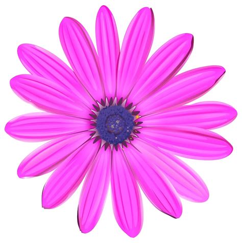 Images De Fleur Png Téléchargement Gratuit Sur Freepik