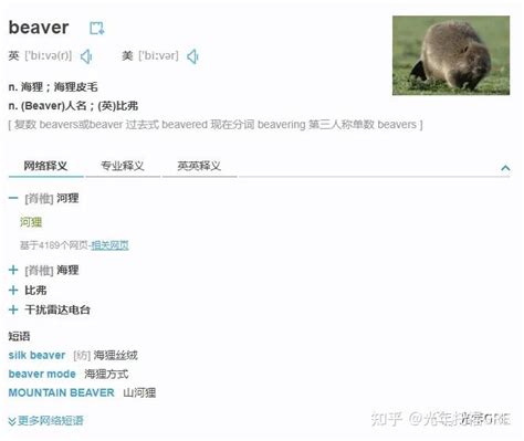 GRE阅读中的beaver到底是个啥 知乎