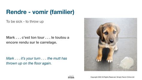 16 Ways To Use The Verb Rendre
