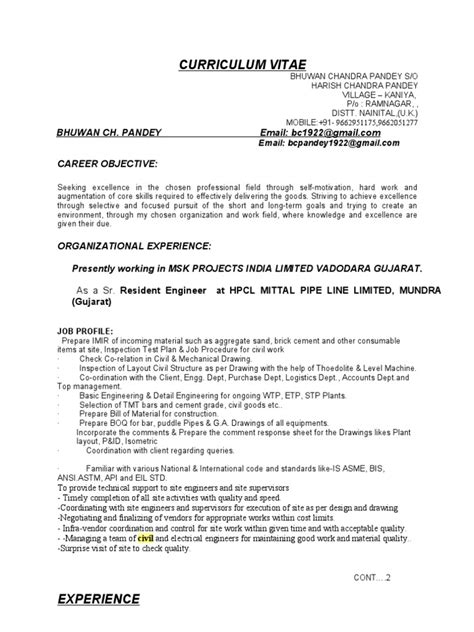 Curriculum Vitae Pdf Engineering