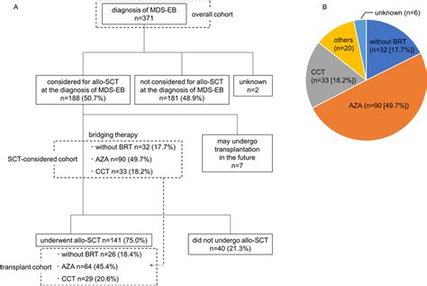 Patient Flowchart And Details Of Bridging Therapy A Patient Flowchart