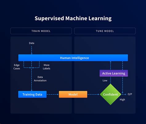 human in the loop in machine learning how humans can impact algorithms