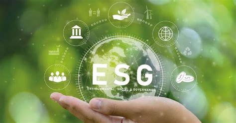 𝗦𝘆𝗻𝗰𝗮𝘀𝘀𝗼 And 𝗩𝗲𝗿𝗴𝗿𝗼𝗲𝗻𝗶𝗻𝗴 Syncasso