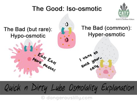 The Big Lube Guide Dangerous Lilly {a Sex Blog By Dangerous Lilly}