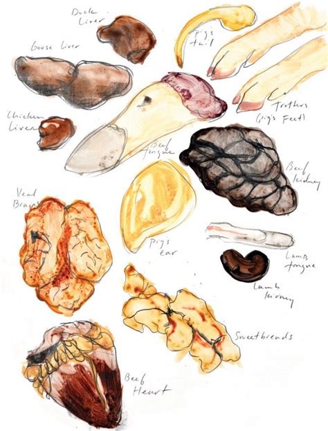 Offal ~ Detailed Information Photos Videos