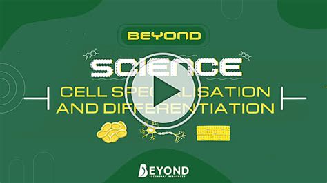 Cell Specialisation And Differentiation Ks4 Cell Biology Video