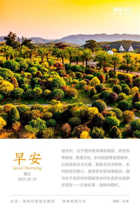 早安自贸港丨海南出岛车辆注意啦！进港路线有调整→澎湃号·政务澎湃新闻 The Paper
