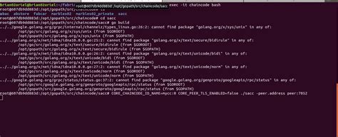 Docker Container Hyperledgerfabric Tools Cli Doesnt Run For Go