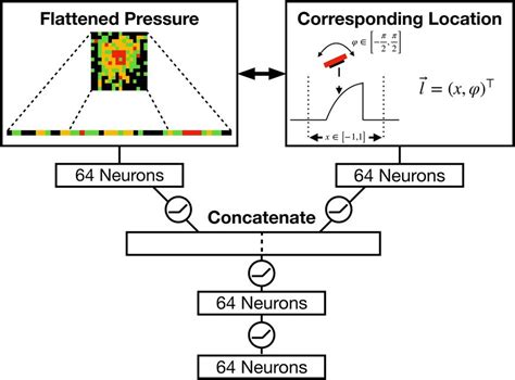 Illustration Of The Tactile Network The Tactile Network Combines The Download Scientific