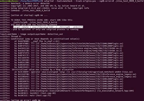 Valgrind Error Using Int8 Model · Issue 1471 · Openvinotoolkit