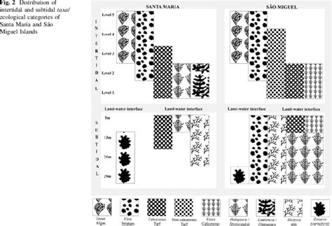 Distribution Of Intertidal And Subtidal Taxa Ecological Categories Of