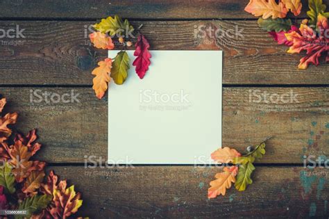 창조적인 레이아웃이을의 만든 종이 카드 메모와 함께 단풍 0명에 대한 스톡 사진 및 기타 이미지 0명 10월 11월