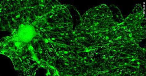 Eleonora Spaggiari Posted On Linkedin