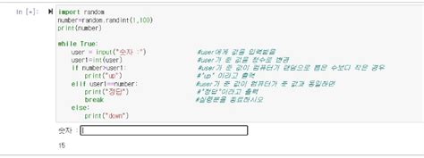 파이썬 While 반복문 개념 및 예시 총정리 무한루프 탈출 방법