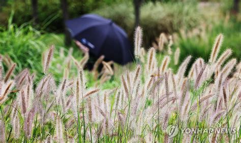 남부지방 호우특보 발표중대본 1단계 가동 나무뉴스